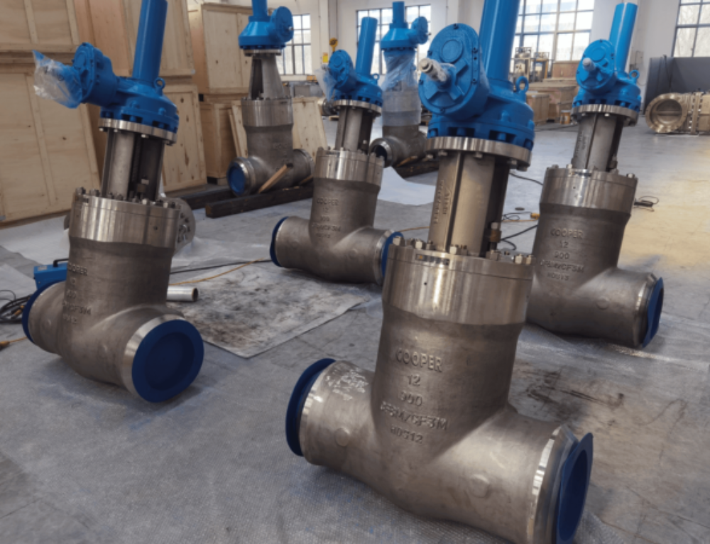 Unlock Precision Fluid Control with COOPER Valves - Cooper® Valves